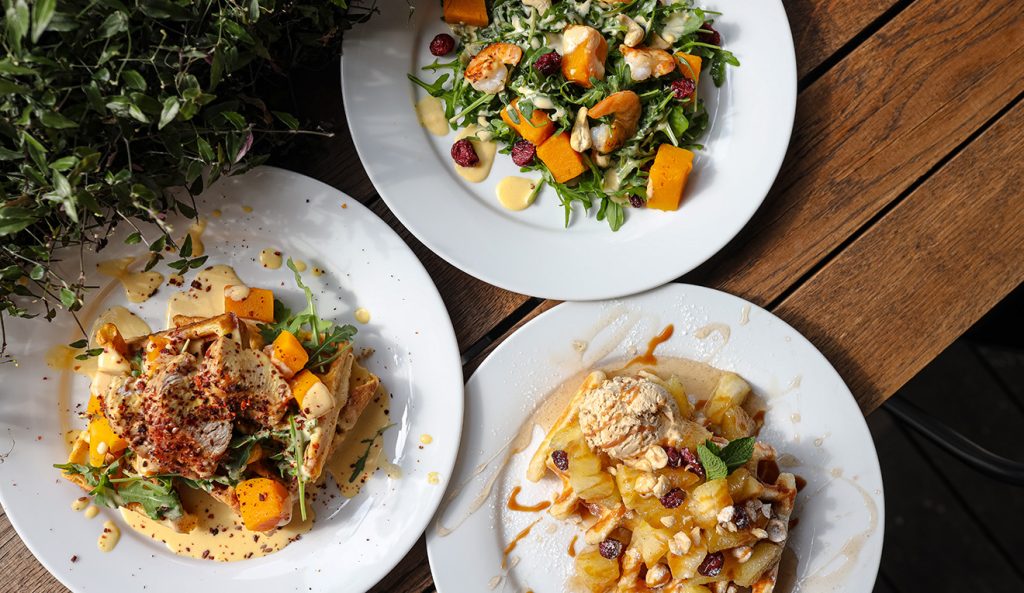 Haley & Bear - StiR Creative Collective