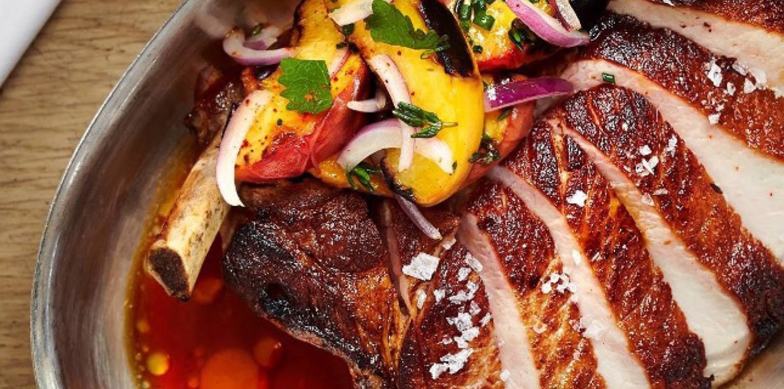 Haley & Bear - StiR Creative Collective